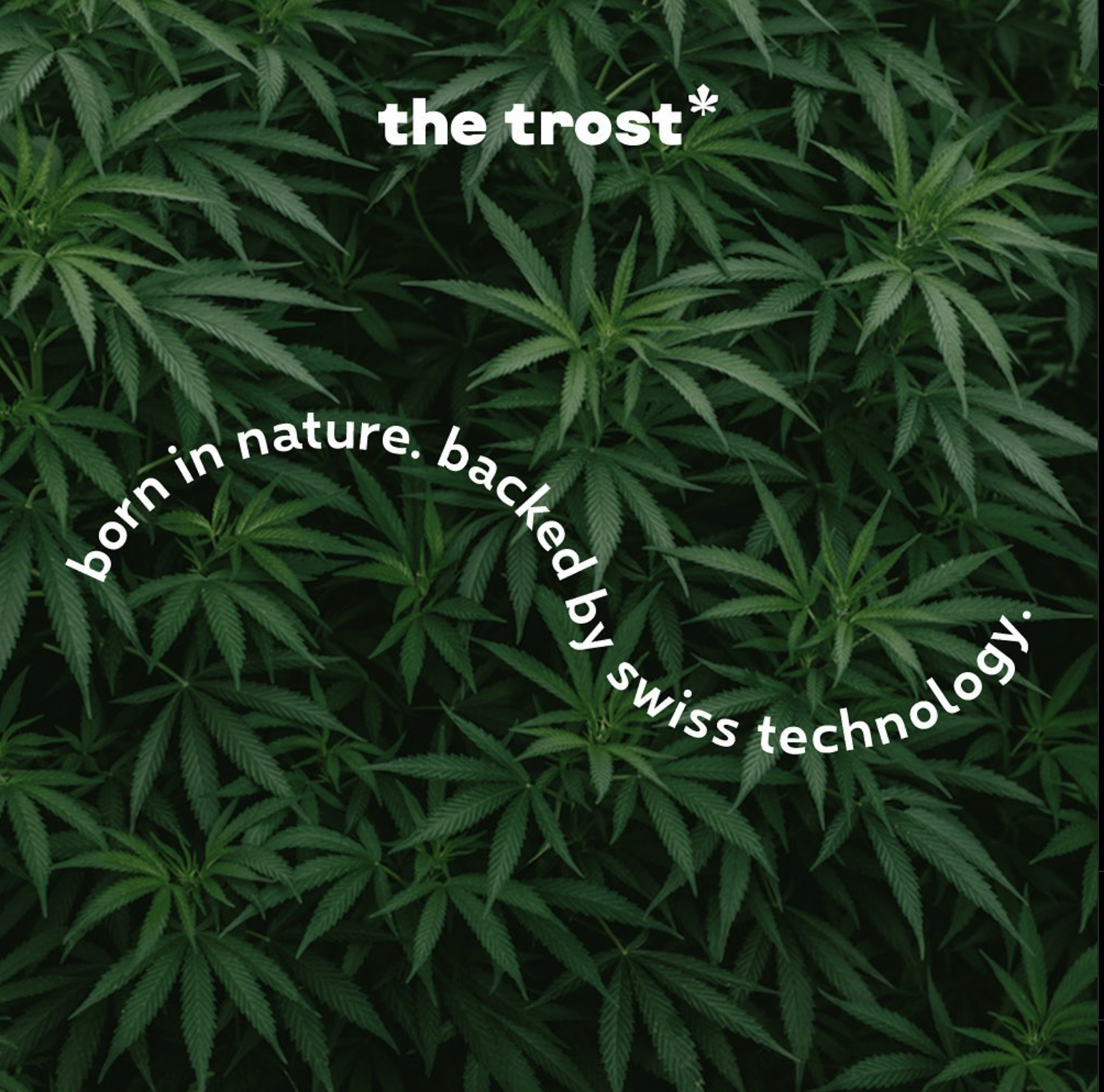 The Trost - Brand Catapult